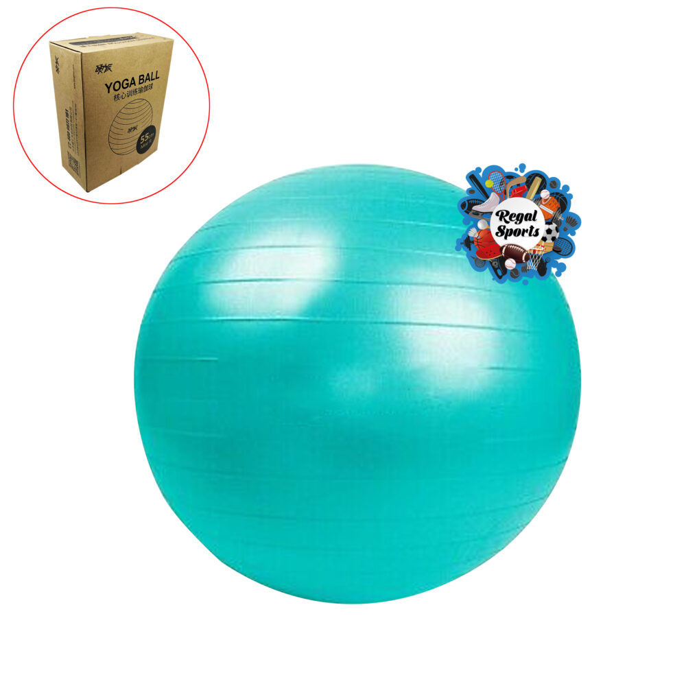 Yoga Ball – 65cm – Plane – Mint – Regalsportscom